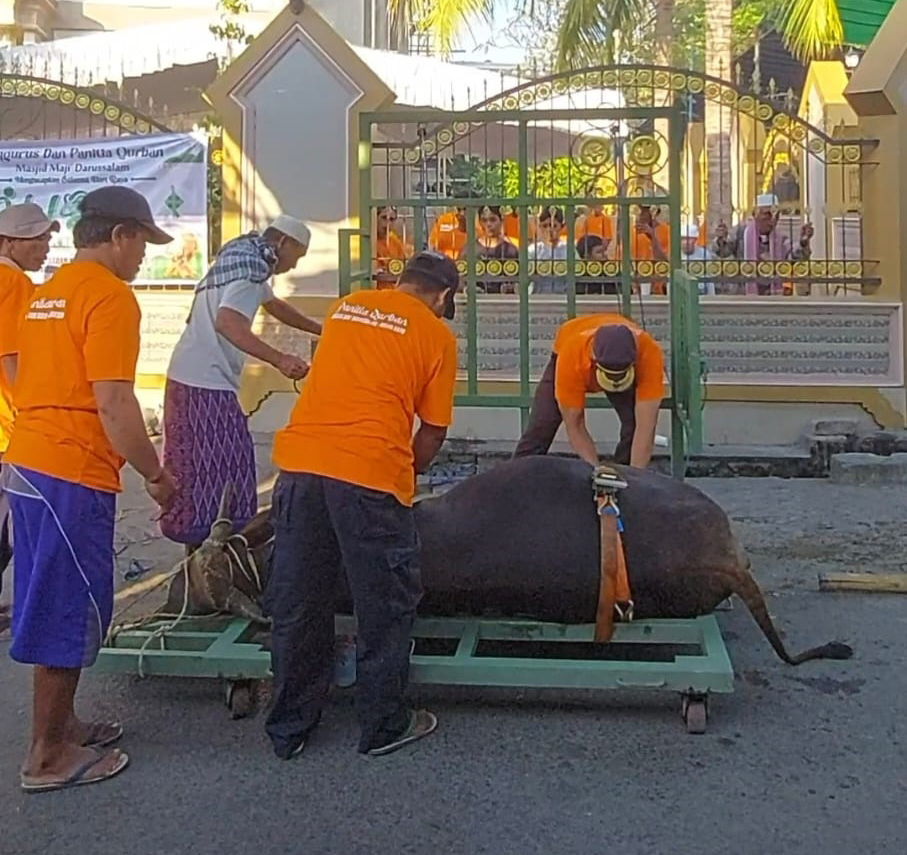 Masjid Jami' Darussalam Dasan Baru BPS Potong 13 Ekor Hewan Kurban ...